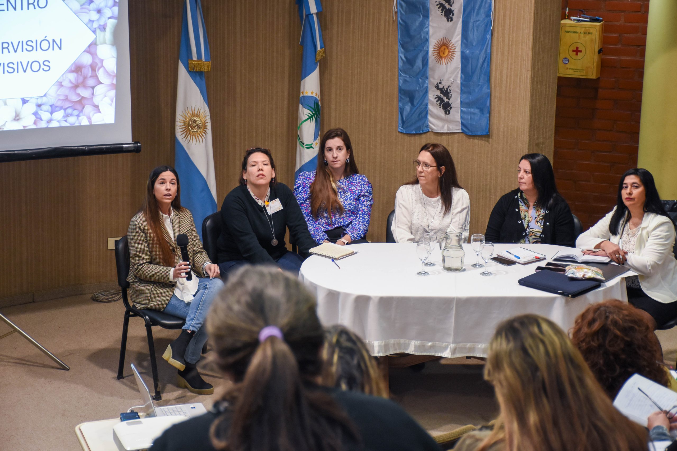 CPE- 2° Encuentro de DPEI – Jefatura de Supervision y equipos ...